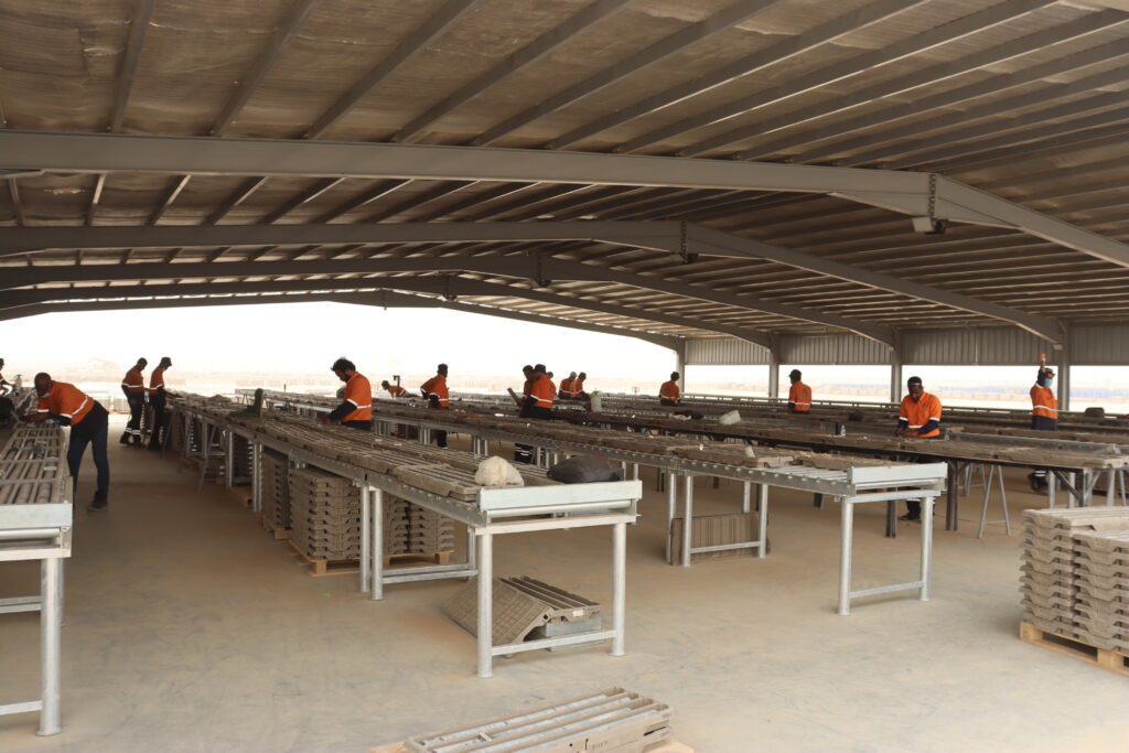 Core Shed Management Services - Darkstone Arabia Ltd.